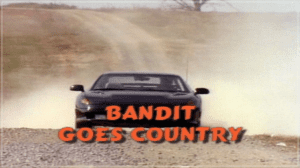 7 Smokey and the Bandit Movies in Order - The Longest Film